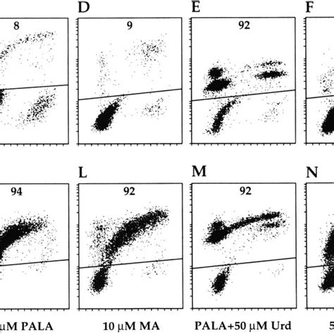 Cell Cycle Effects Of Ump Ctp Utp And Gmp Biosynthesis Inhibitors On