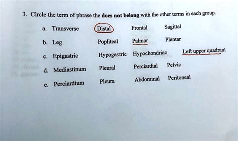 Solved A Transverse Distal Frontal Sagittal B Leg Popliteal Palmar Plantar Hypochondriac Left