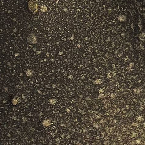 Lindys Stamp Gang Pixie Dust Magical Shaker 20 Mshaker 041 Paperpadsnl