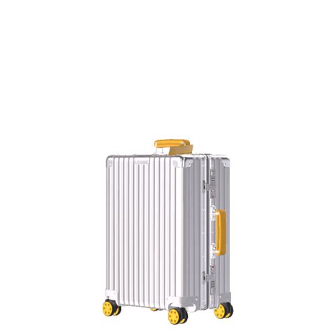 Rimowa Unique Custom Luggage Rimowa