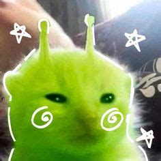 Alien Cat Meme 