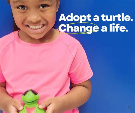 Were Excited To Announce That Turtle Adoptions Are Officially Open For