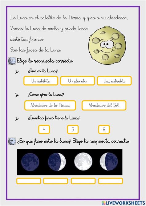 Hoja De Trabajo De Actividades Sobre Las Fases De La Luna