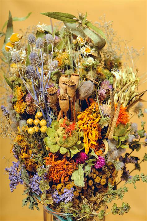 Маковый Спас lenacab LiveJournal