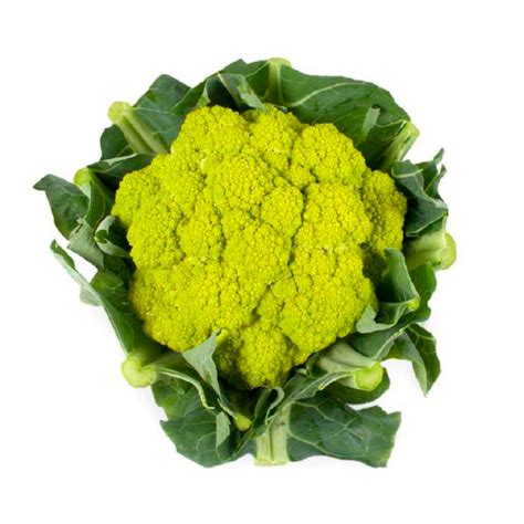 Coliflor