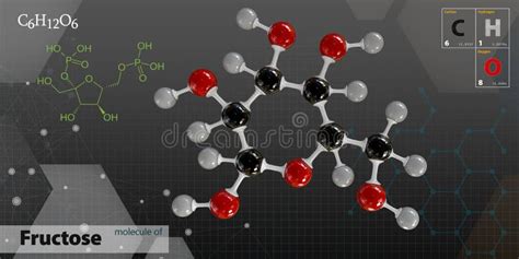 Fructose D Fructose Molecule Linear Form Structural Chemical Formula And Molecule Model Stock