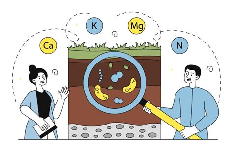 Alluvial Soil Vector Images 7