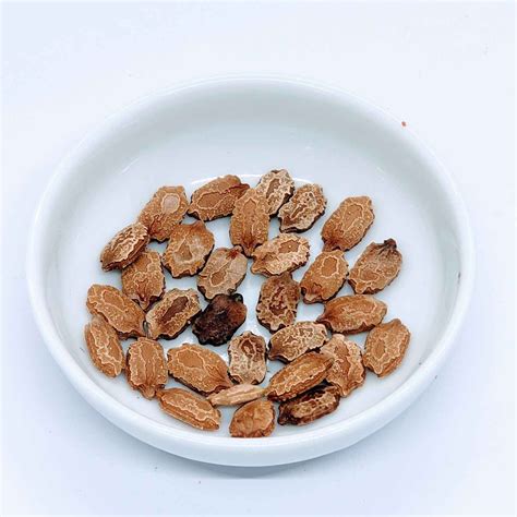 Bitter Gourd Seeds
