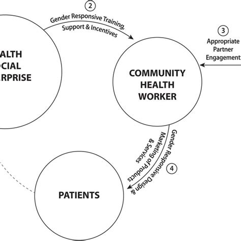 Gender Integration Continuum For Health Social Enterprises [27] Download Scientific Diagram