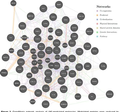 Figure 3 From Proteomics And Metabolomics For Aki Diagnosis Semantic Scholar
