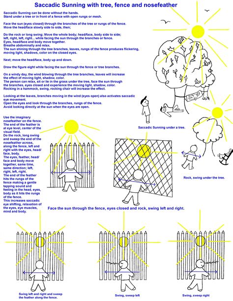Saccadic Sunning With Tree Fence Nosefeather Swing Rocking Chair