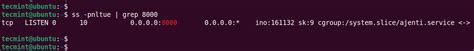 Comment Installer Le Panneau De Configuration Ajenti Dans Debian Et Ubuntu Tech Tribune France
