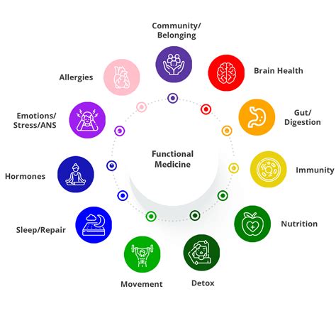 Functional Medicine Discover Holistic Healing Maas Method