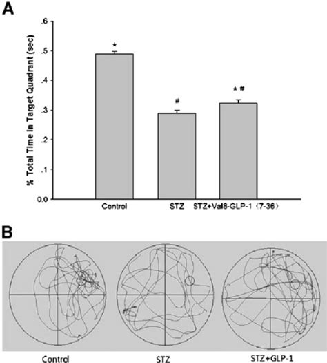 Percentage Of Time Spent In The Target Quadrant In The Probe Trial