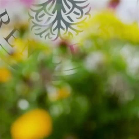 Jaclyn Ray On Linkedin Glamours ‘best Organic Range Winners