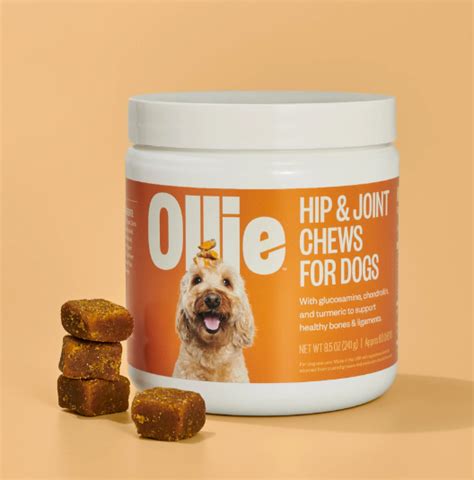 Tail Wagging Wellness The Surprising Benefits Of Dog Supplements