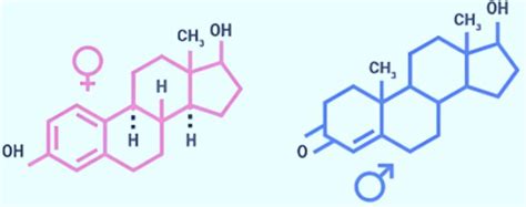 Endocrine Disease Ivd Solutions Alta Diagnotech Endocrine Disease Ivd Solutions Alta Diagnotech