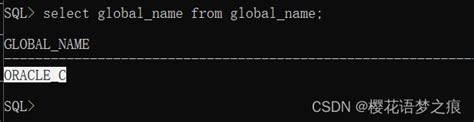 关于oracle navcat与cmd中sqlplus信息不同步问题 navicatc创建表后 sqlplus不能查看 csdn博客