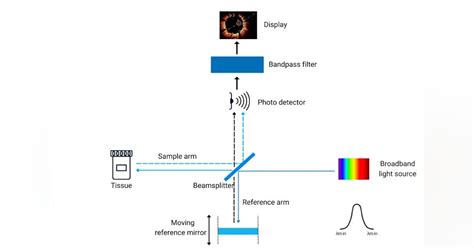 capabilities and applications of optical coherence tomography oct in