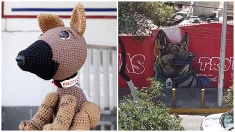 Desde Peluches Hasta Un Corrido Norteño Los Homenajes A Proteo El