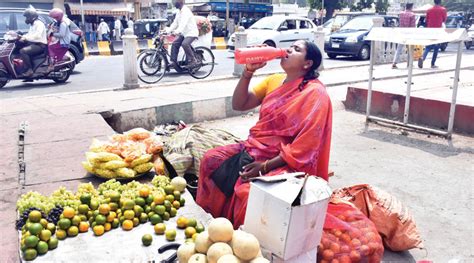 Orange Alert Star Of Mysore