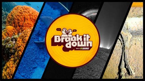 How Did People Clean Their Teeth Before Toothpaste Was Invented Iflscience