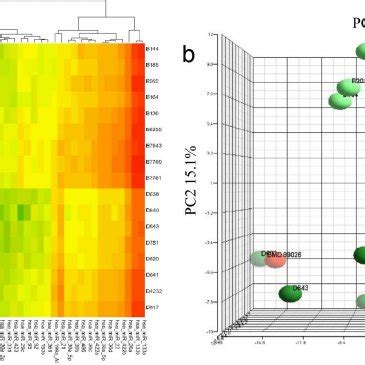 Unsupervised Hierarchical Clustering And PCA Of MiRNA Expression