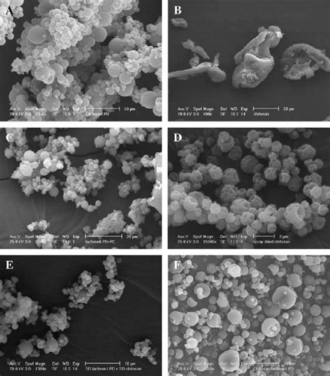 Visualisation Of Particle Size And Surface Morphology By Scanning Download Scientific Diagram