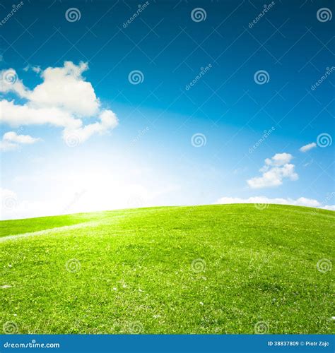 Empty Green Grass Field And The Blue Sky Stock Image Image Of Nature