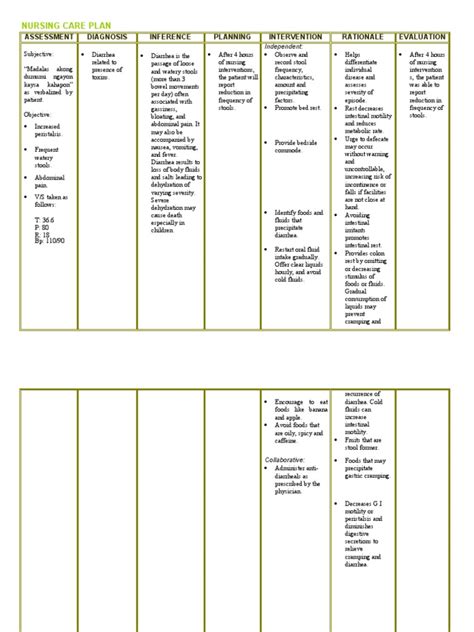 Diarrhea Nursing Care Plan Template Vsmnk