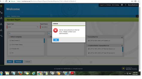Wt 11213 Functional Standard Reports 1094c Server Error Is