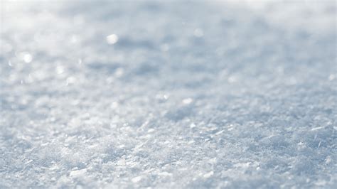 Your Guide To Dandruff And Seborrheic Dermatitis