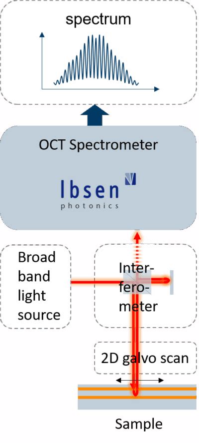 What Is Spectral Domain Oct Uses And Applications Ibsen Photonics