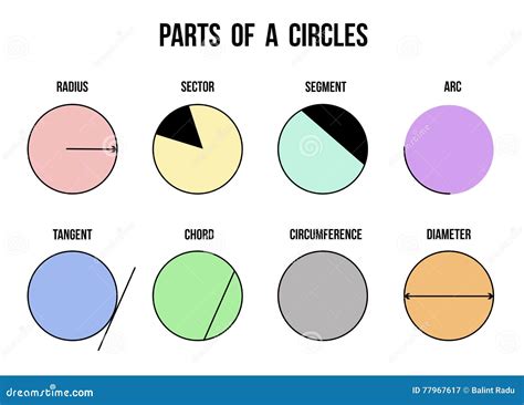 Parts Of A Circles On White Background Stock Vector Illustration Of