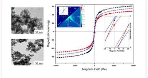 Microstructure Ion Adsorption And Magnetic Behavior Of Mesoporous γ Fe2o3 Ferrite Nanoparticles