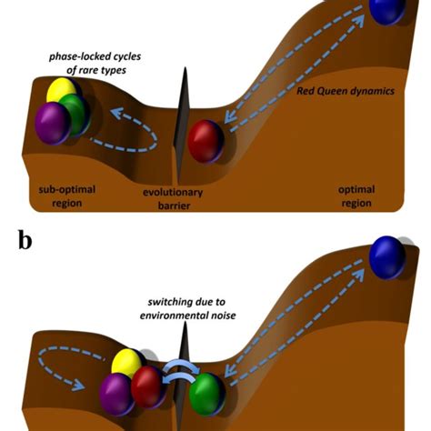 1 Type I Ii And Iii Functional Response Curves These Curves