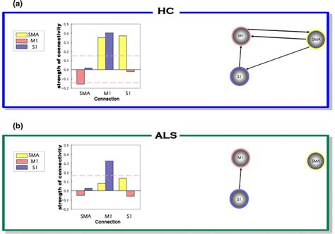 Significant Effective Connectivity Within The Full Model In HC And ALS Download Scientific