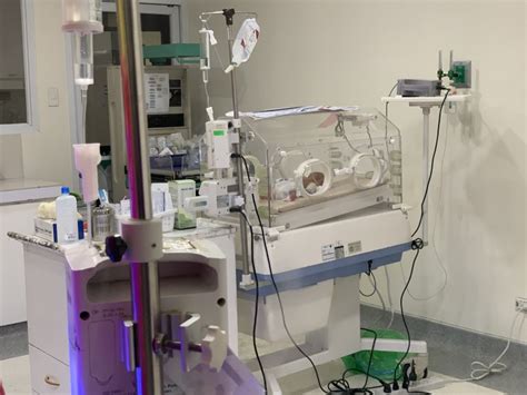 Save Our Baby Seed Fundraiserme Crowdfunding Platform