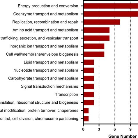 Cog Analysis Of The Promoter Regions Of Genes Enriched In Ctra Chip Seq