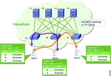 Cisco Nexus 5000 And 6000 Series Nx Os Fabricpath Operations Guide Release 6 0 2 N1 1 Using