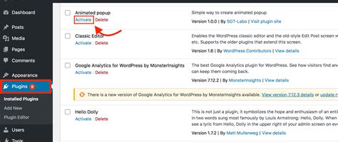 Animated Popup Installation Guide