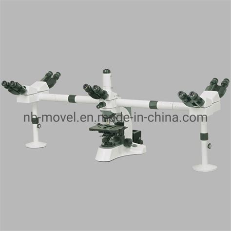 Multi Viewing Microscope Teaching Microscope Microscope And Teaching