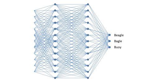 Artificial Neural Network Heres Everything You Need To Know About Black Box Of Ai