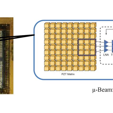 Layout Of The Custom Designed Pediatric 3d Tee Transducer Chen Et Al Download Scientific