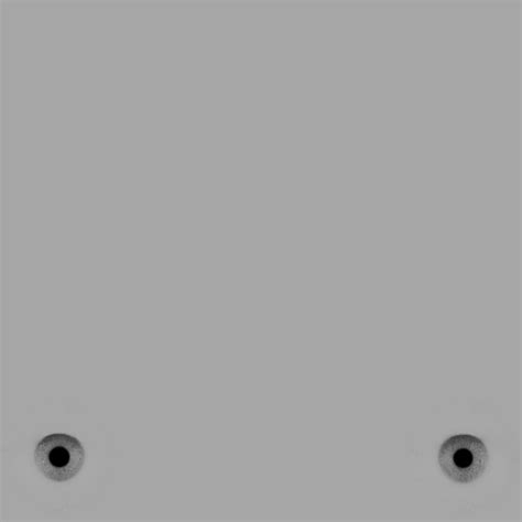3d Jill Model Turbosquid 1857862