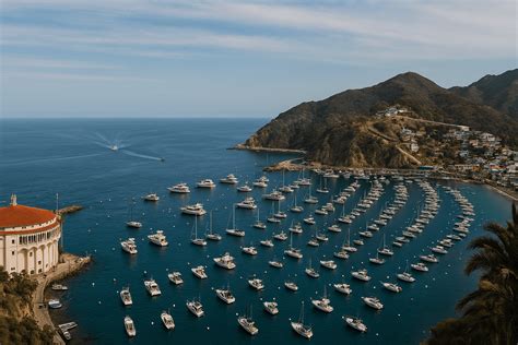 Best Dive Sites In Catalina Island California A Divers Guide