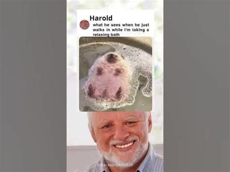 Harold Reacts Memes Youtube