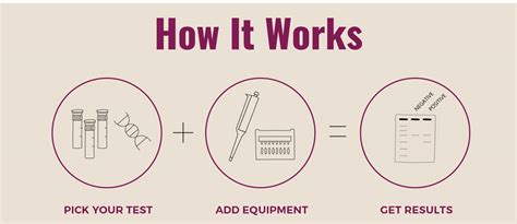 Zeewee I Bird Dna Sex Test Minipcr Dx