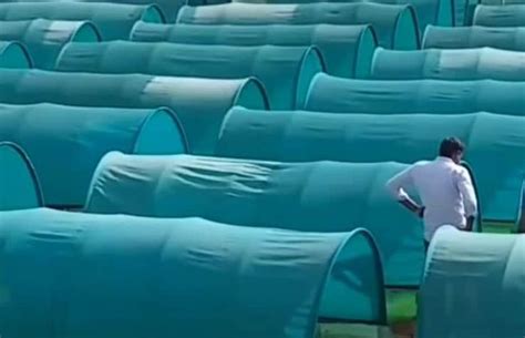 Azolla Farming Azolla Cultivation How To Grow Azolla In Hdpe Pond