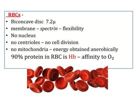 Anemia Classification Cf Lab Diagnosis Ppt